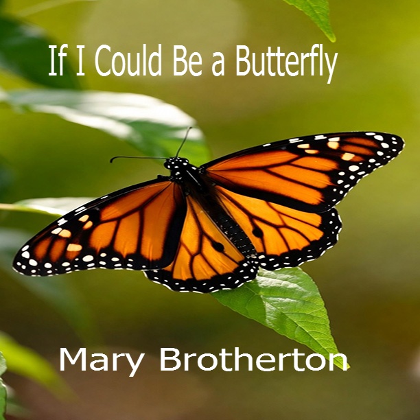 Why We do What We Do – Midnight Publishing